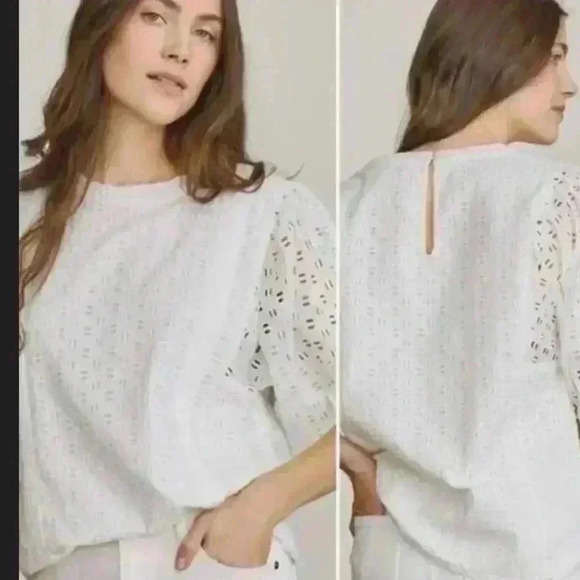 Elizabeth and James | Tops | Elizabeth And James White Eyelet 0 Cotton ...